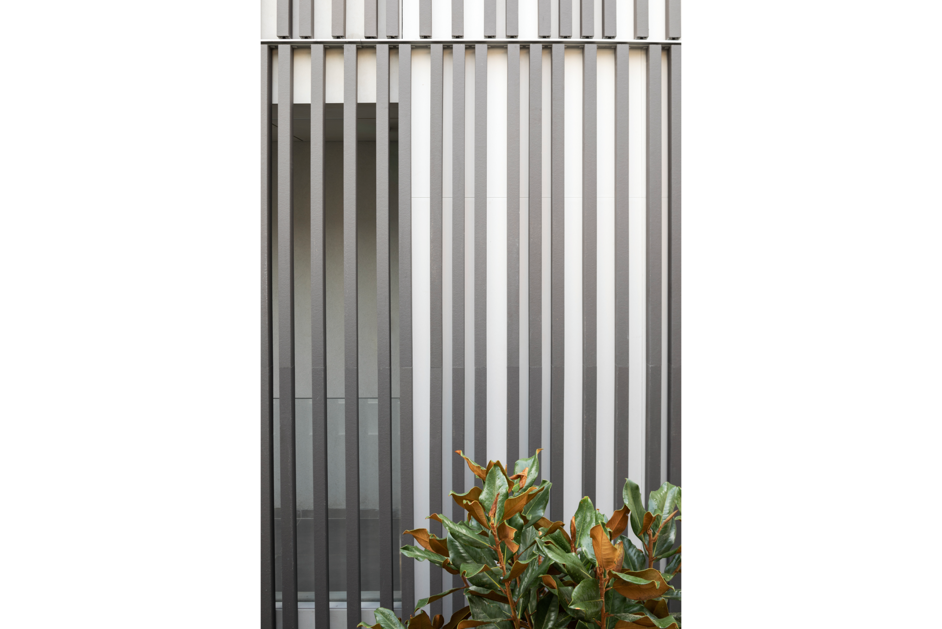 ErezShani03_(1121)gallery - Luxury Lifestyle Awards