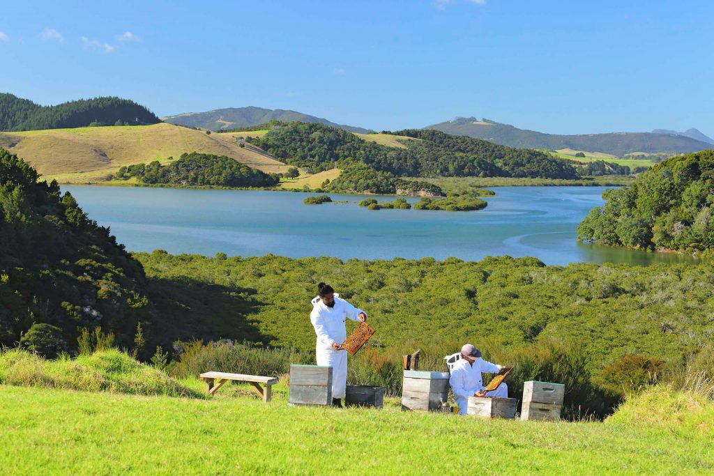 Tahi Manuka Honey by Tahi New Zealand - Luxury Lifestyle Awards