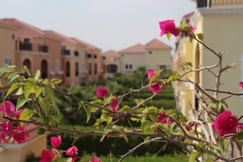 Al Rayyan Village by Prime Lands - Luxury Lifestyle Awards