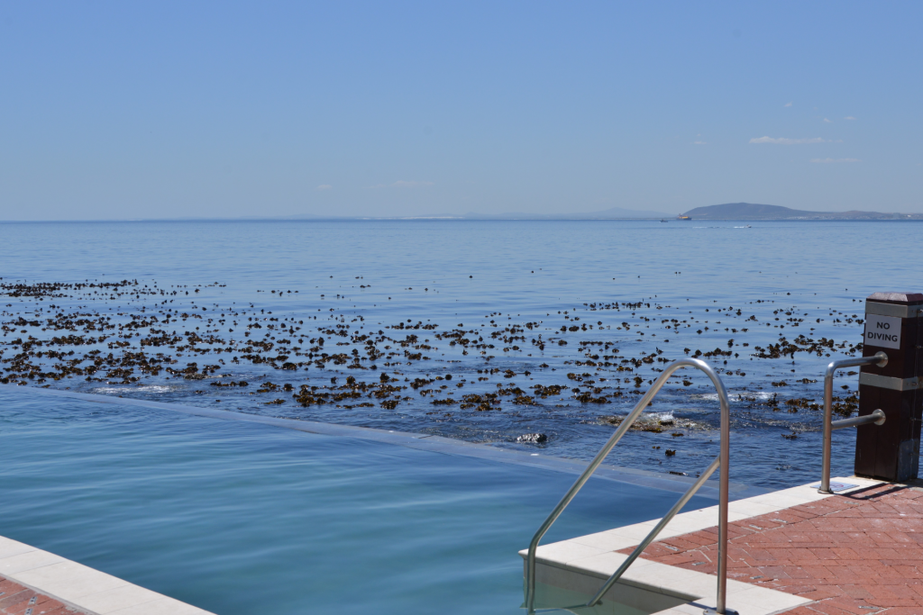 Radisson Blu Hotel Waterfront, Cape Town - Luxury Lifestyle Awards