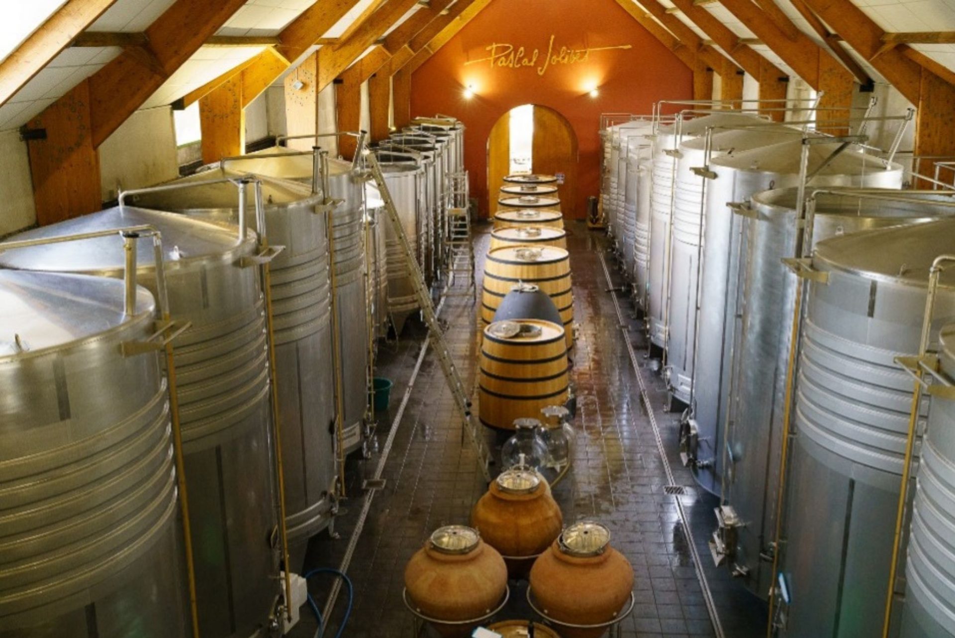 Maison Pascal Jolivet | Innovative Sauvignon Blanc