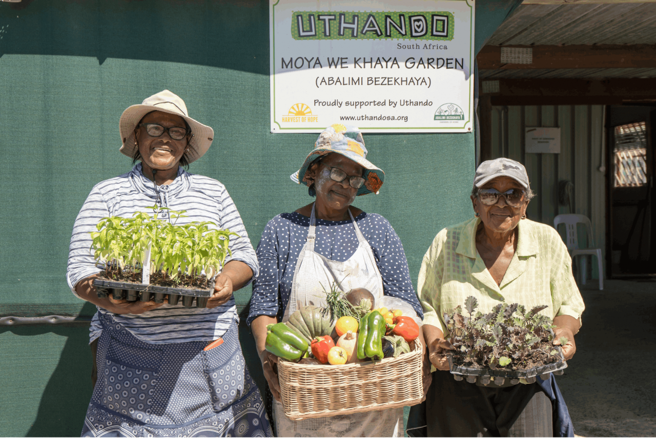 Mahlatini Sets the Gold Standard in Sustainable Luxury Travel ...