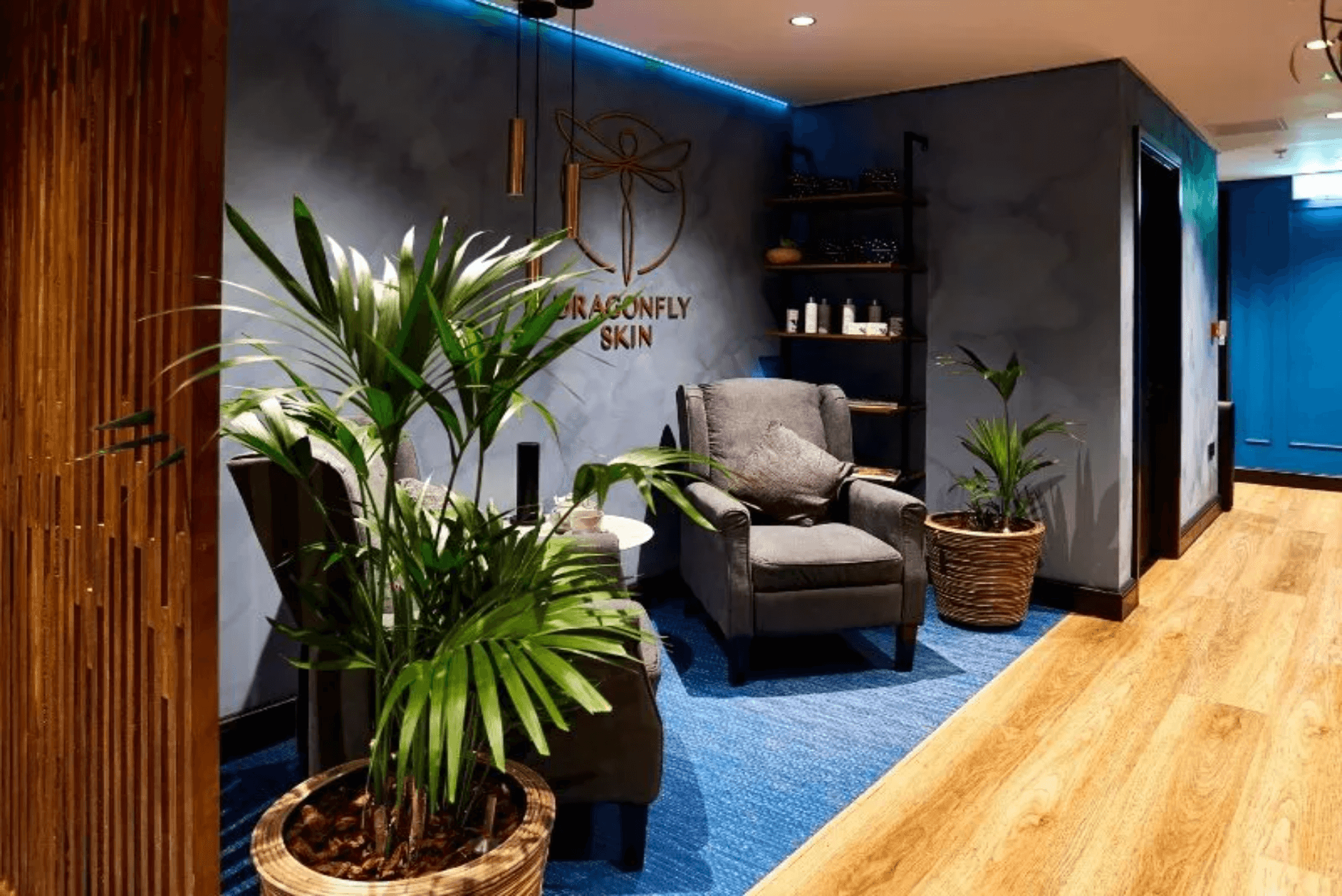 Dragonfly Skin Ltd - Luxury Lifestyle Awards